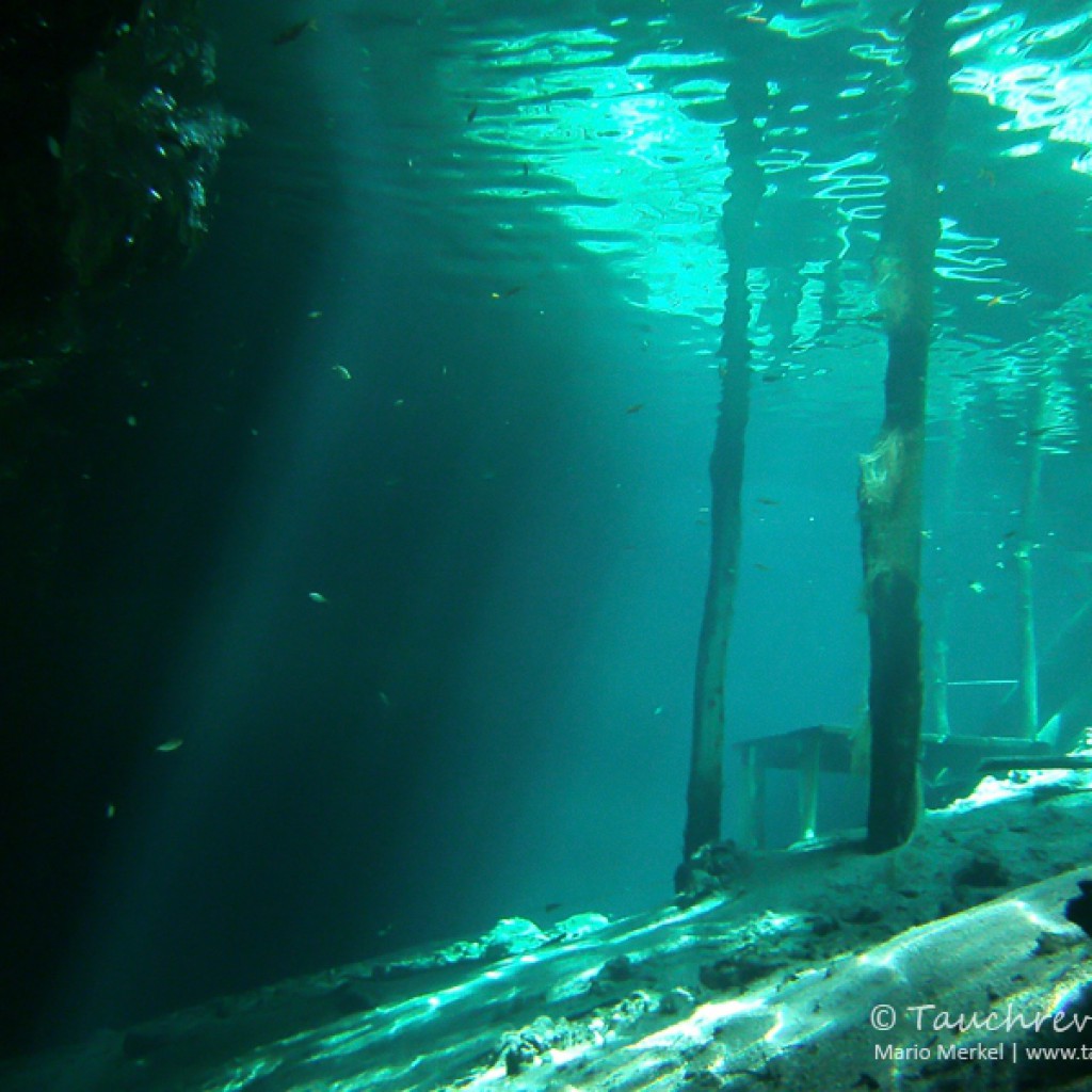 2016 Mexico, Tulum ~ Tauchrevier Deutschland